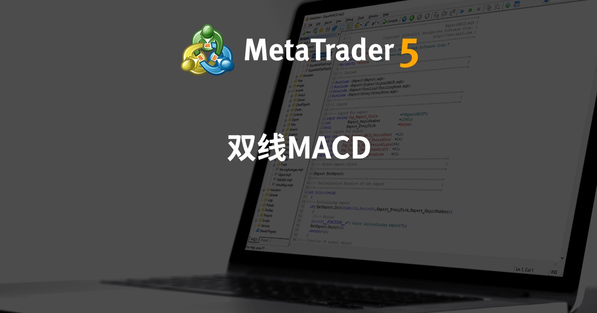 在MQL5代码库免费下载MetaTrader 5的'双线MACD' ('fxmeter')指标, 2020.02.05
